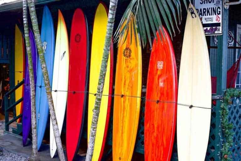 Top 5 Best 9ft Surfboards