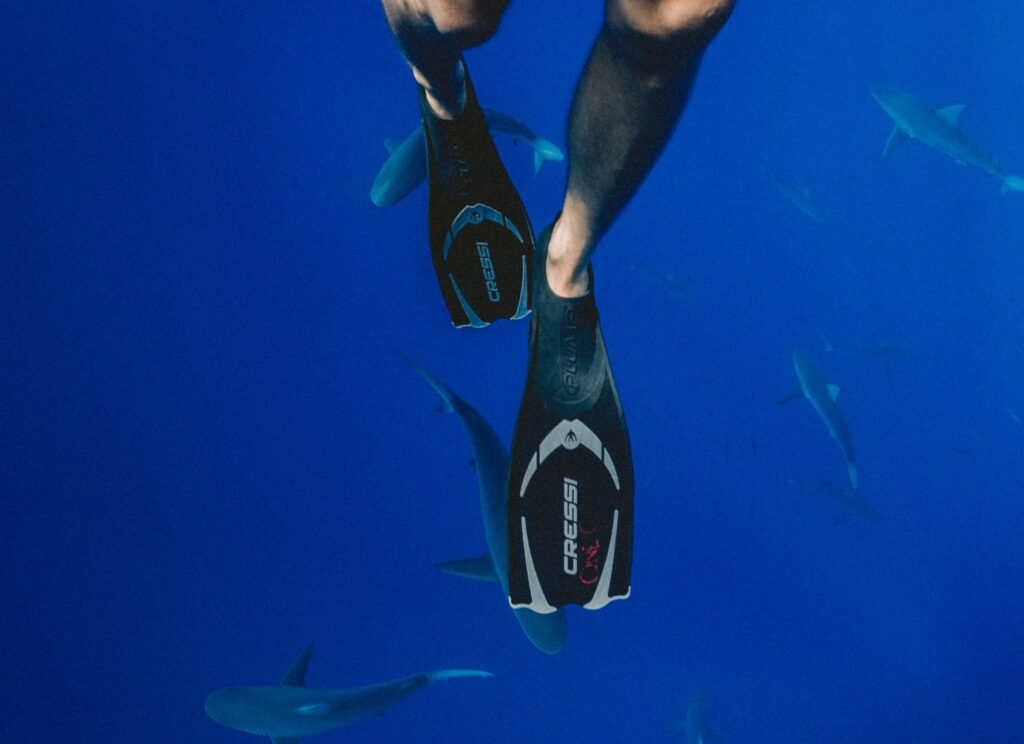 Top 12 Best Swim Flippers for Kids | Surf Hungry